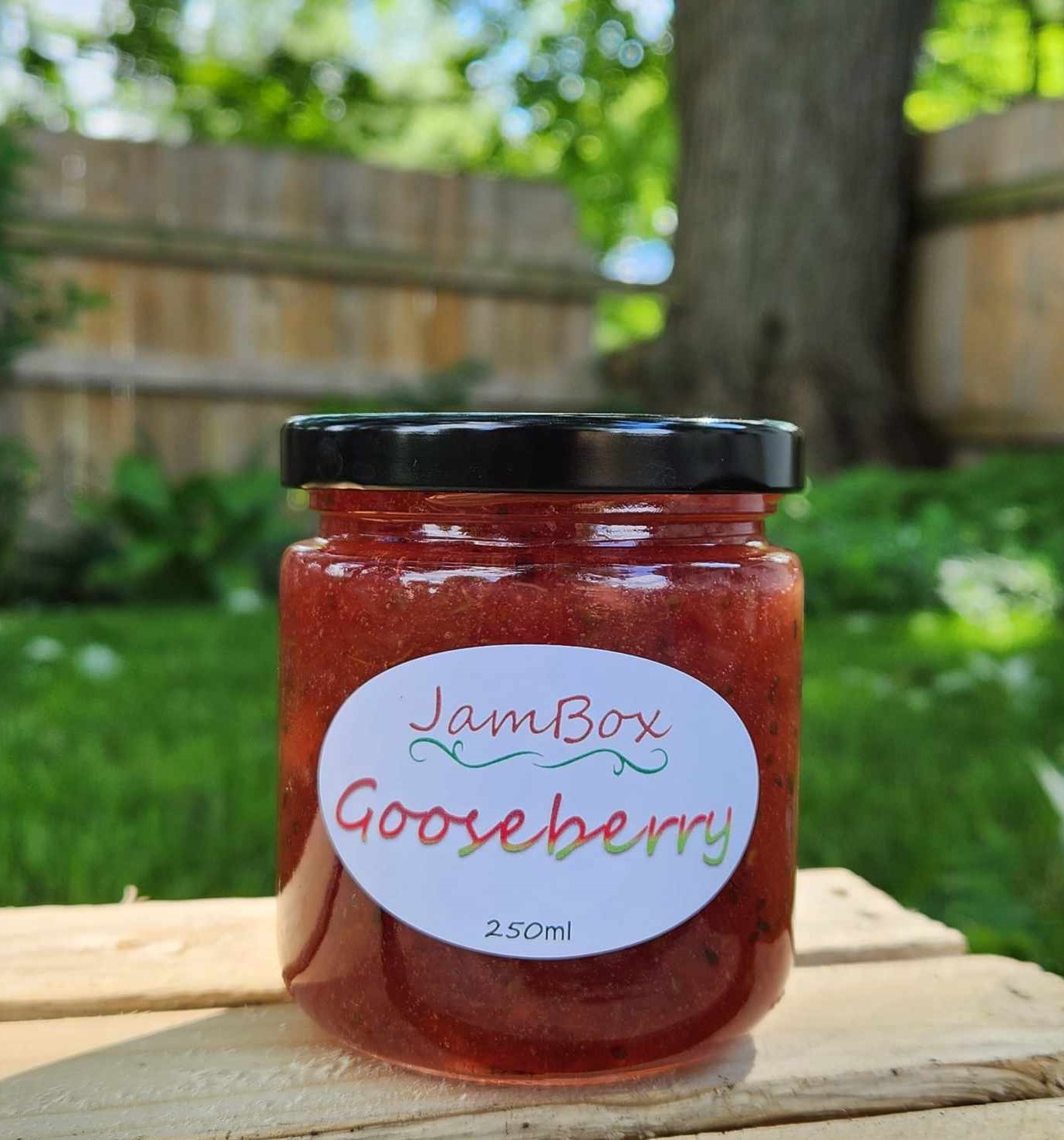 Gooseberry Jam 250ml - JamBox