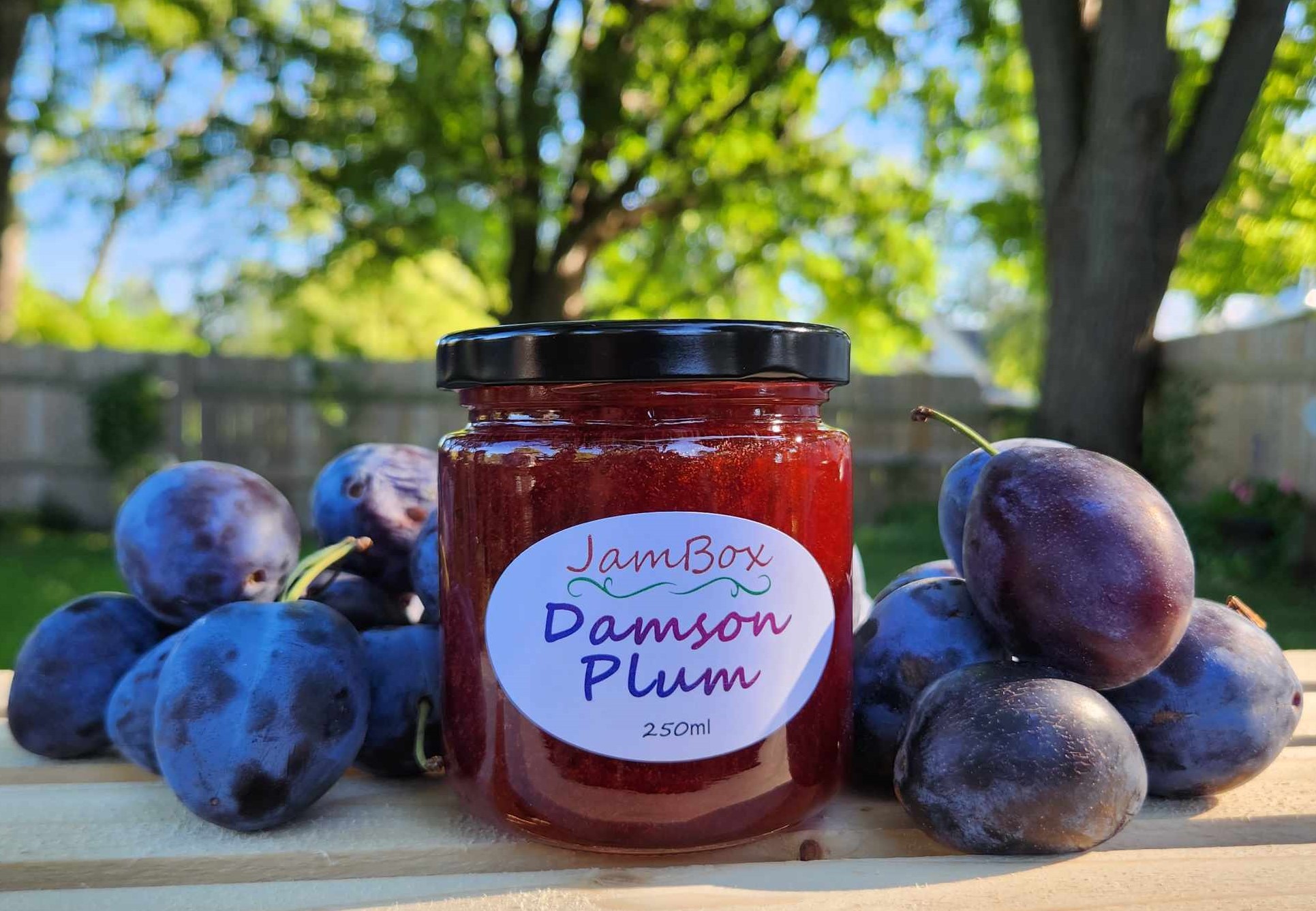 Damson Plum Jam 250ml - JamBox